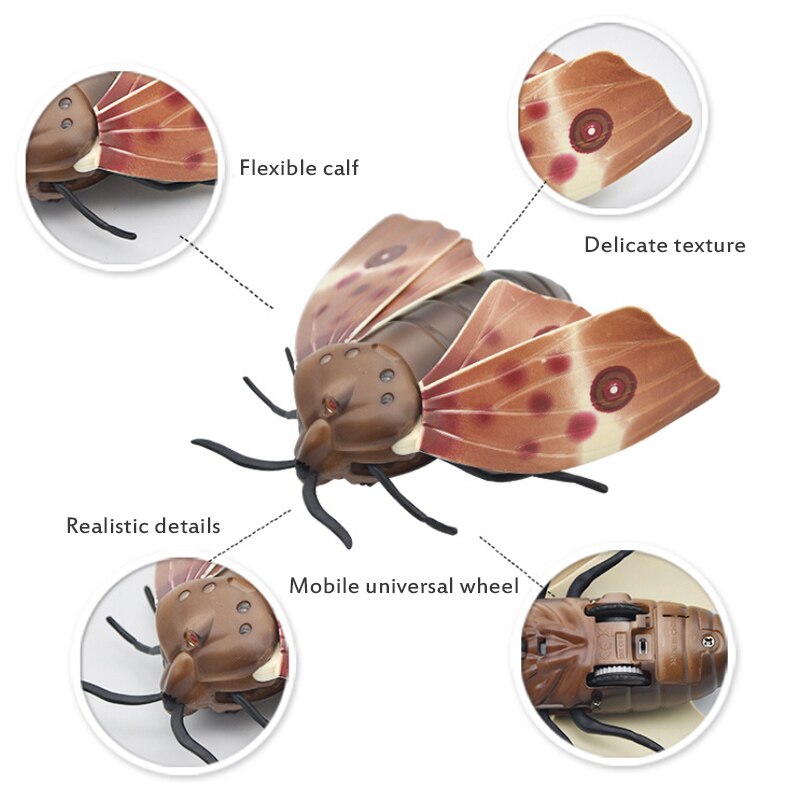 RC Insect Toy Exotic Simulation Insect RC Animal I... – Grandado