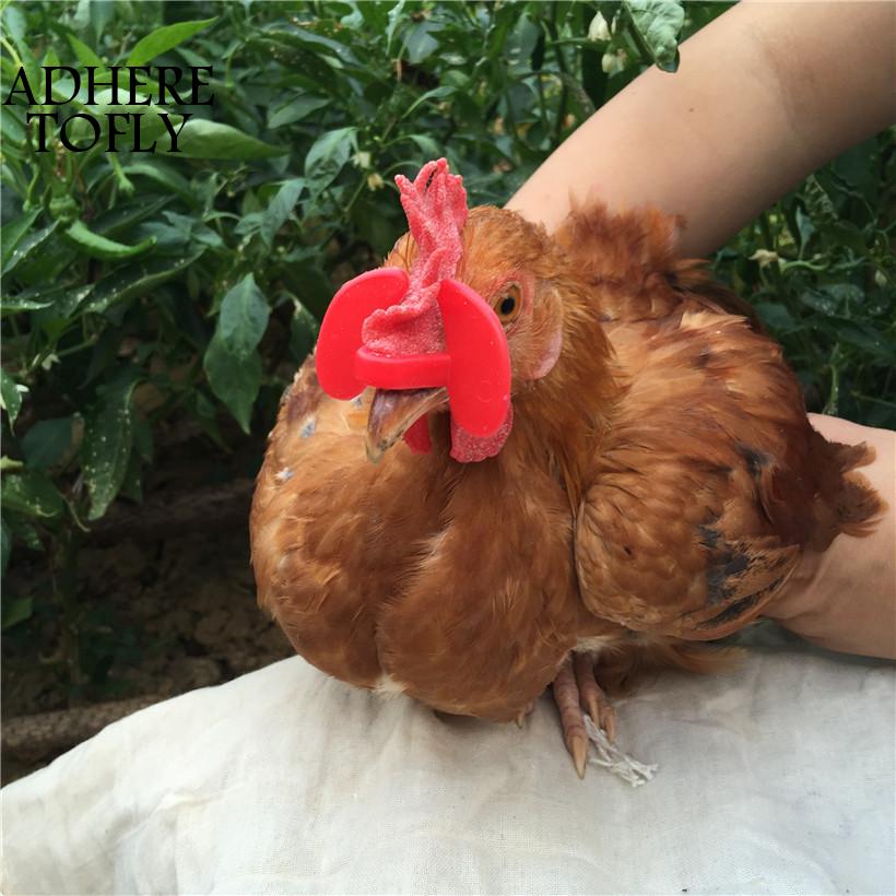 100 from the Latest No bolt chicken glasses Pheasa... – Grandado