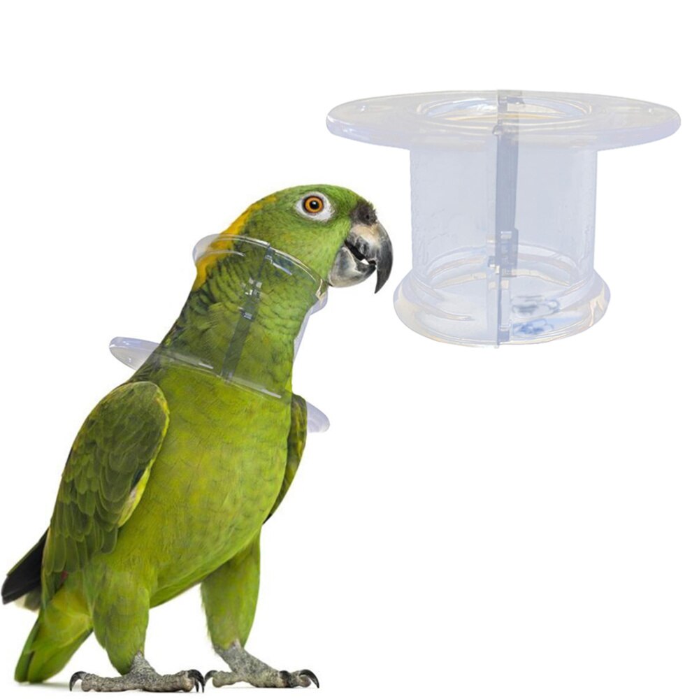Bird Anti-bite Collar for Severe Parrot Feather Pl... – Vicedeal