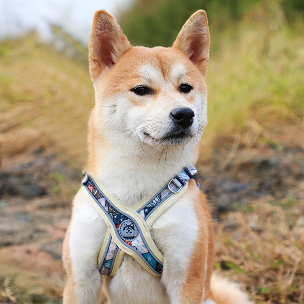 Dog Chest Strap Anti-lost Pet Harness 3 Colors Opt... – Vicedeal