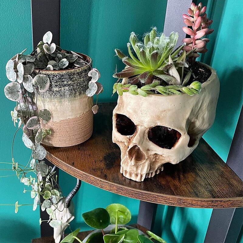 Skull Head Planters Pots Gothic White Human Skull ... – Grandado