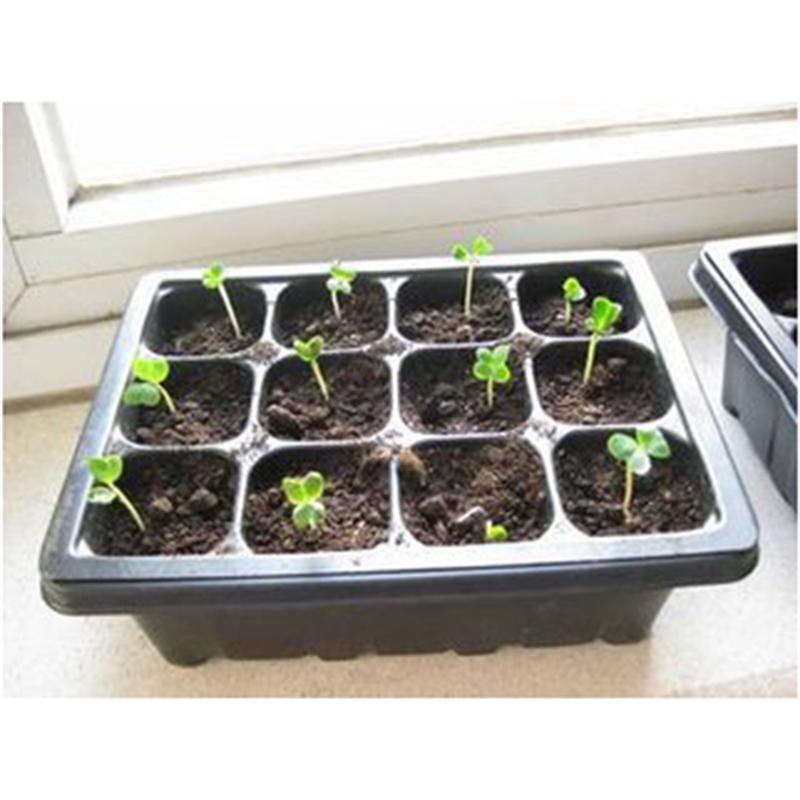 Seedling Tray Sprout Plate 12-Cells Seed Starter B... – Grandado