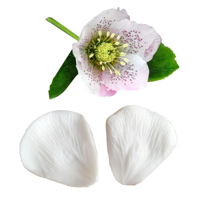 Hellebore Flower Veiners Silicone Molds Fondant Su... – Grandado