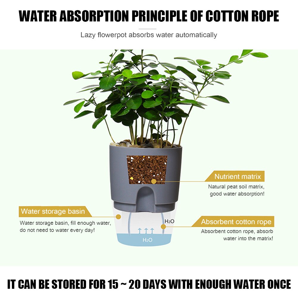 Watering Planter Plastic Clear Self Watering Flowe... – Grandado