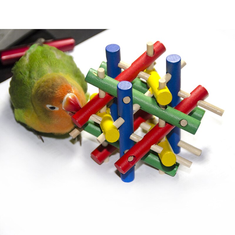 Parrot TrainingToys Wood Square Cube Styles Birds ... – Vicedeal