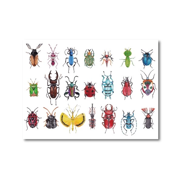 Beetles Collection Illustration Prints Nature Wall... – Grandado
