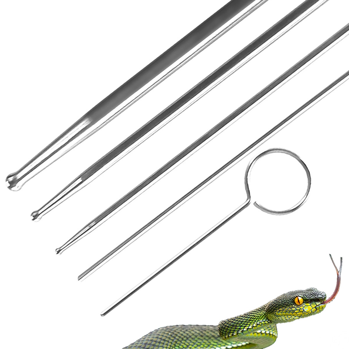 Snake Probe Kit 6 Pieces Round Ball Tip Reptiles S... – Grandado
