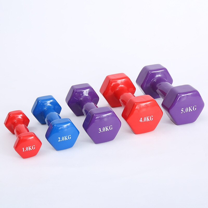 Dip Dumbbell Fitness Equipment Unisex Dumbbell 500... – Vicedeal