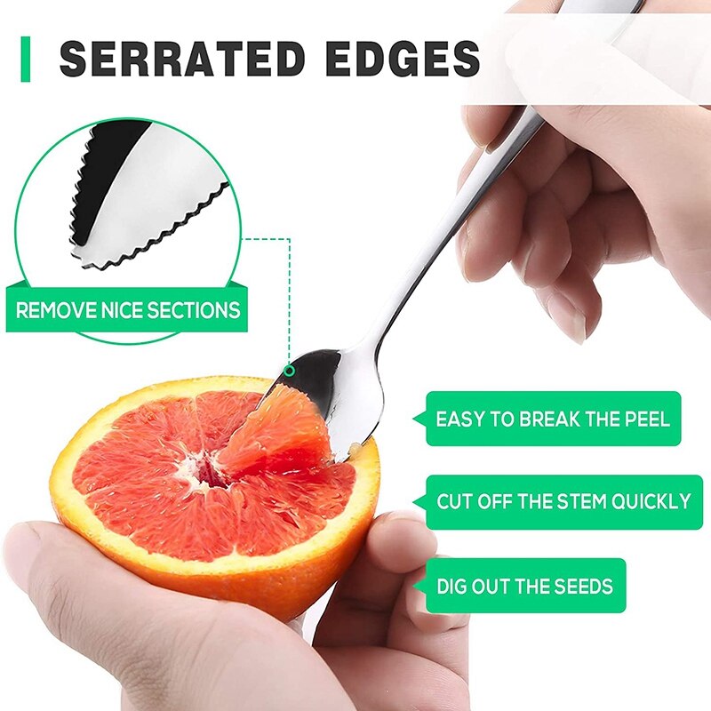Grapefruit Spoons Stainless Steel Fruit Scraping S... – Grandado