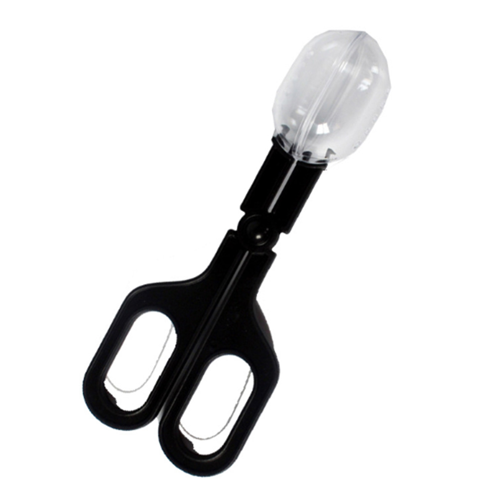 Reptile Supplies Cleaning Clips Insect Terrarium L... – Grandado