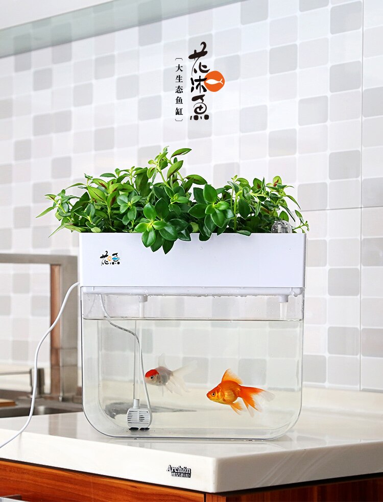 Water-free Ecological Goldfish Tank Living Room Ho... – Vicedeal