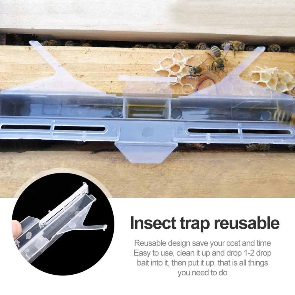 12Pcs Beetle Trap Easy To Use Beetle Catcher Beeke... – Grandado