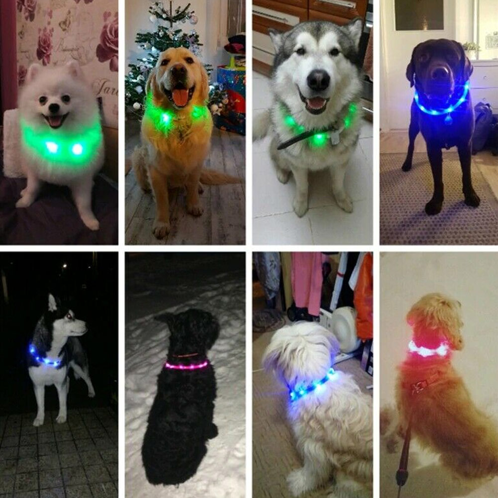 USB Rechargeable LED Dog Pet Collar Flashing Adjus... – Vicedeal