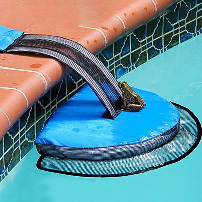 Frog And Duck Escape Net Swimming Pool Small Anima... – Vicedeal