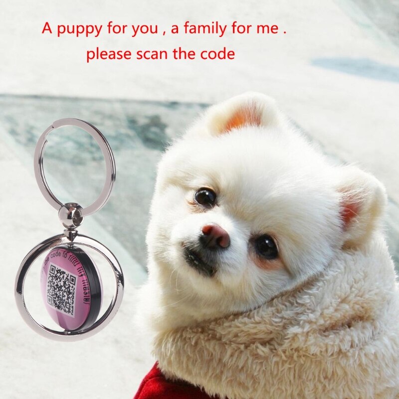 Pet QR Code Tag Dog Anti Lost Keychain Cat Key Fin... – Grandado