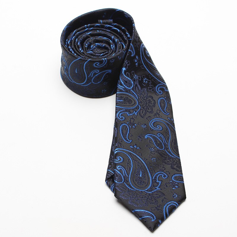 WindJ Polyester Necktie Men Paisley blue Black Bus... – Grandado