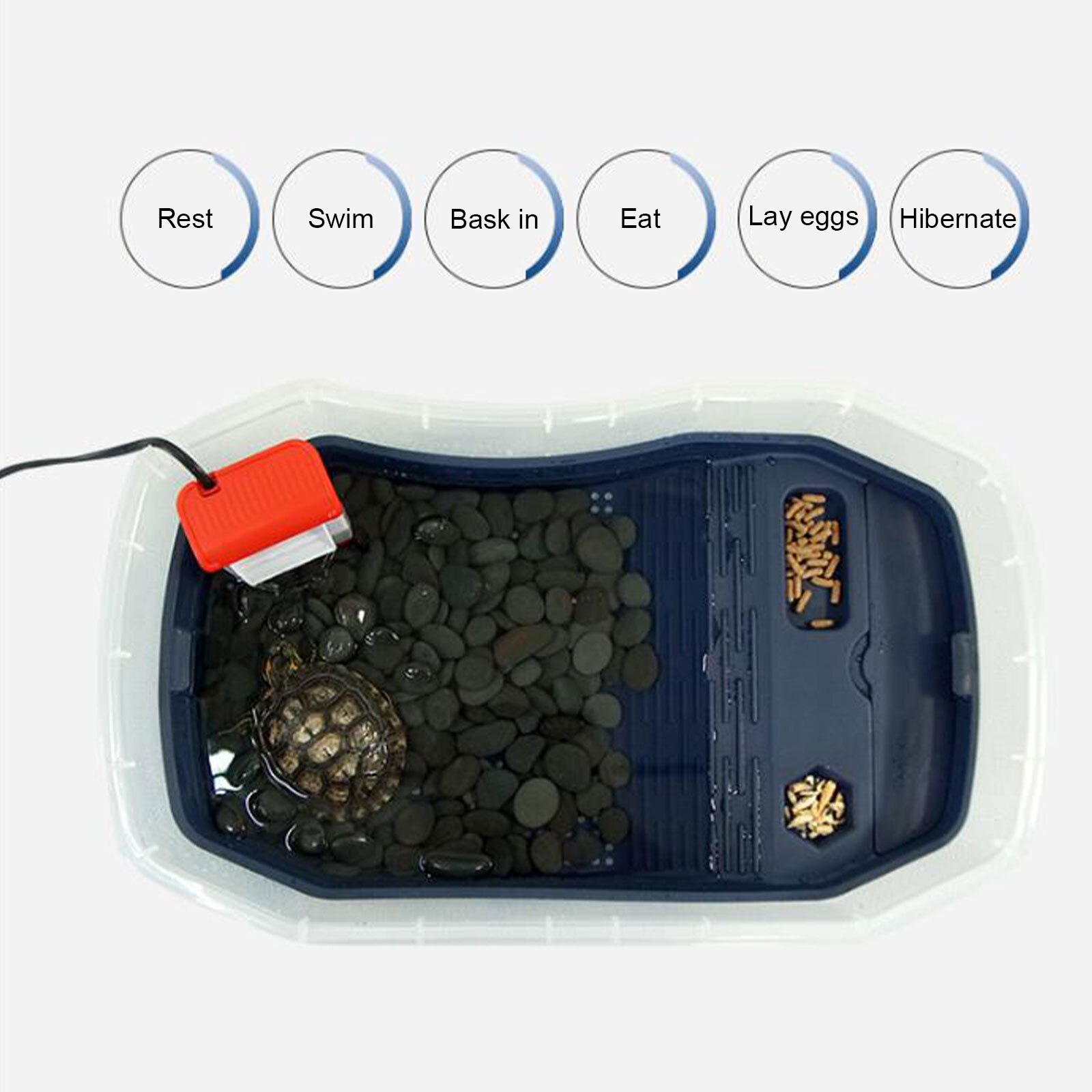 Turtle Box Turtle Tank Villa Turtle Tank Turtle Aq... – Grandado