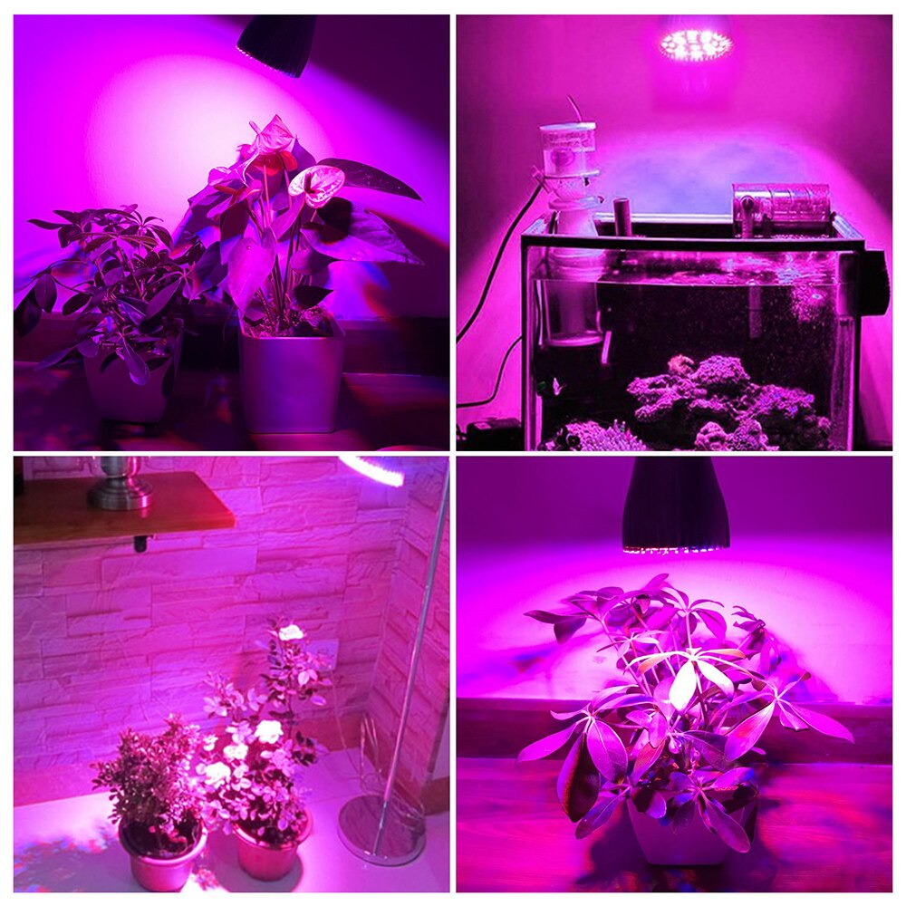 LED Grow Light Lamp Volledige Spectrum Plant Groei... – Vicedeal