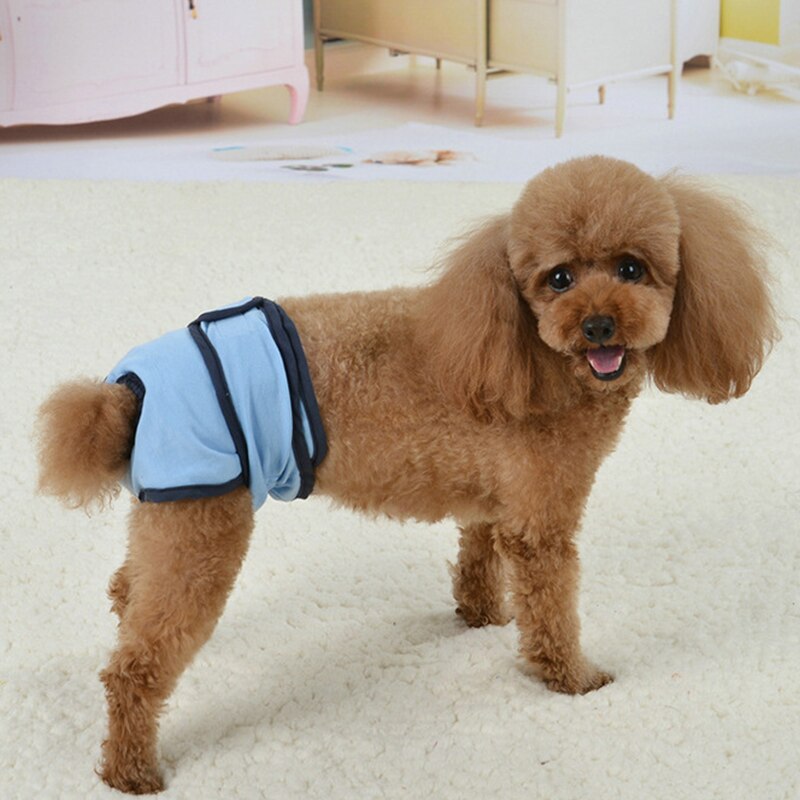 Dog Shorts Puppy Physiological Pants Diaper Pet Un... – Grandado