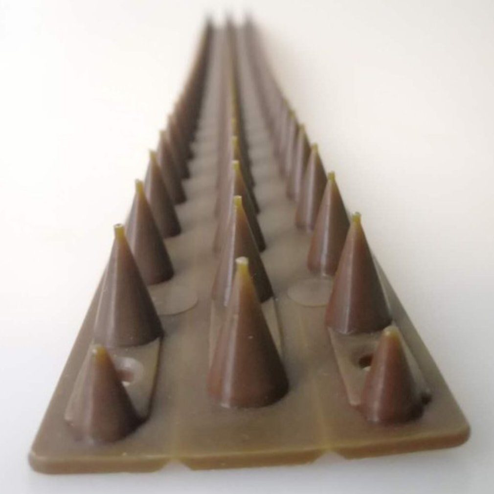 Plastic Bird and Pigeon Spikes Anti Bird Anti Pige... – Grandado