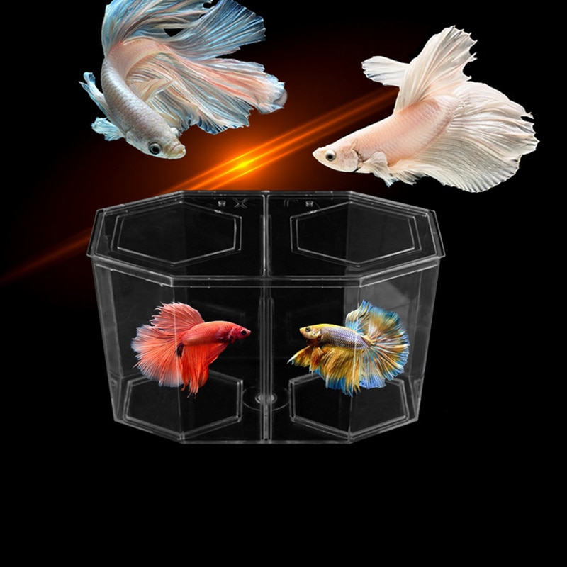 Two Splits Fish Bowl Acrylic Guppy Fish Tank Aquar... – Grandado