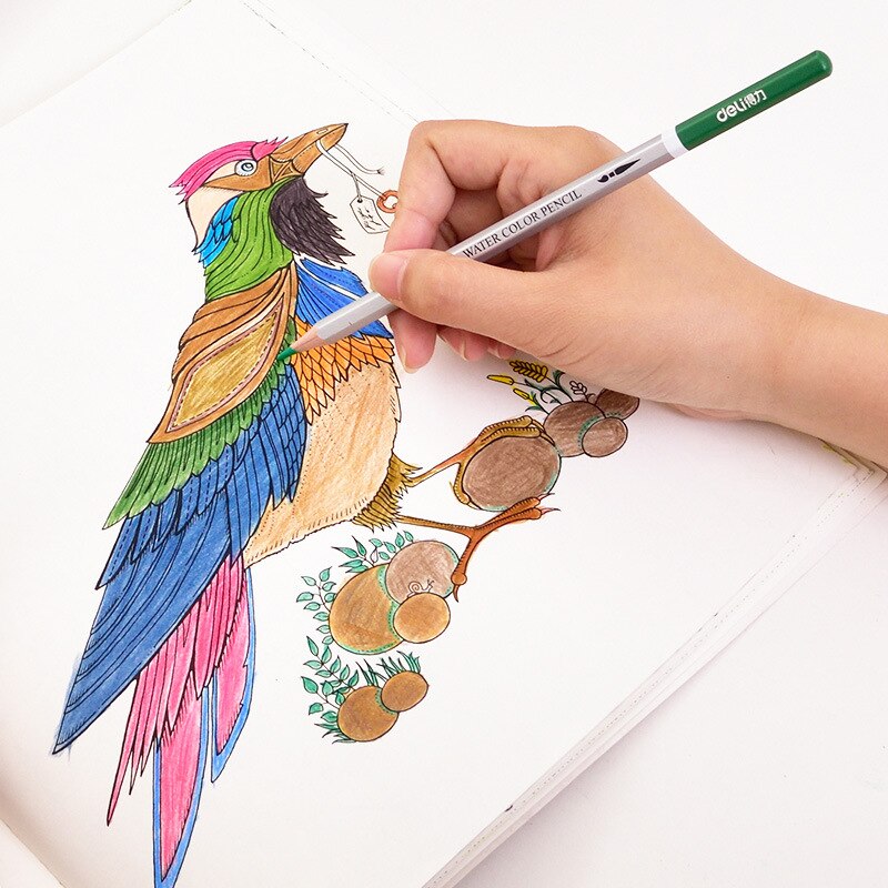 Color Watercolor Pencil Box Set Cyan Colores Crayo... – Grandado