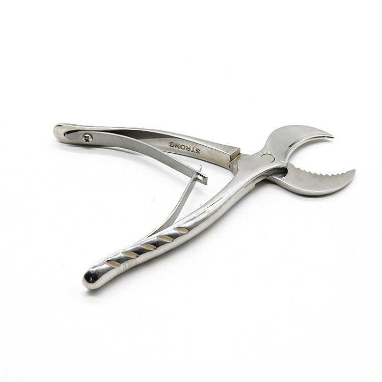 Dental Lab Gypsum Scissors Dentistry Material Plas... – Grandado