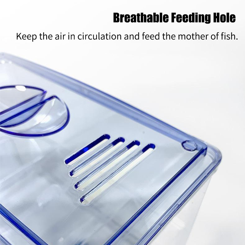 Portable Acrylic Aquarium Fish Tank Breeding Isola... – Grandado