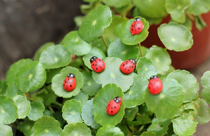 100pcs/lot Wooden Ladybird Ladybug Sticker Childre... – Grandado