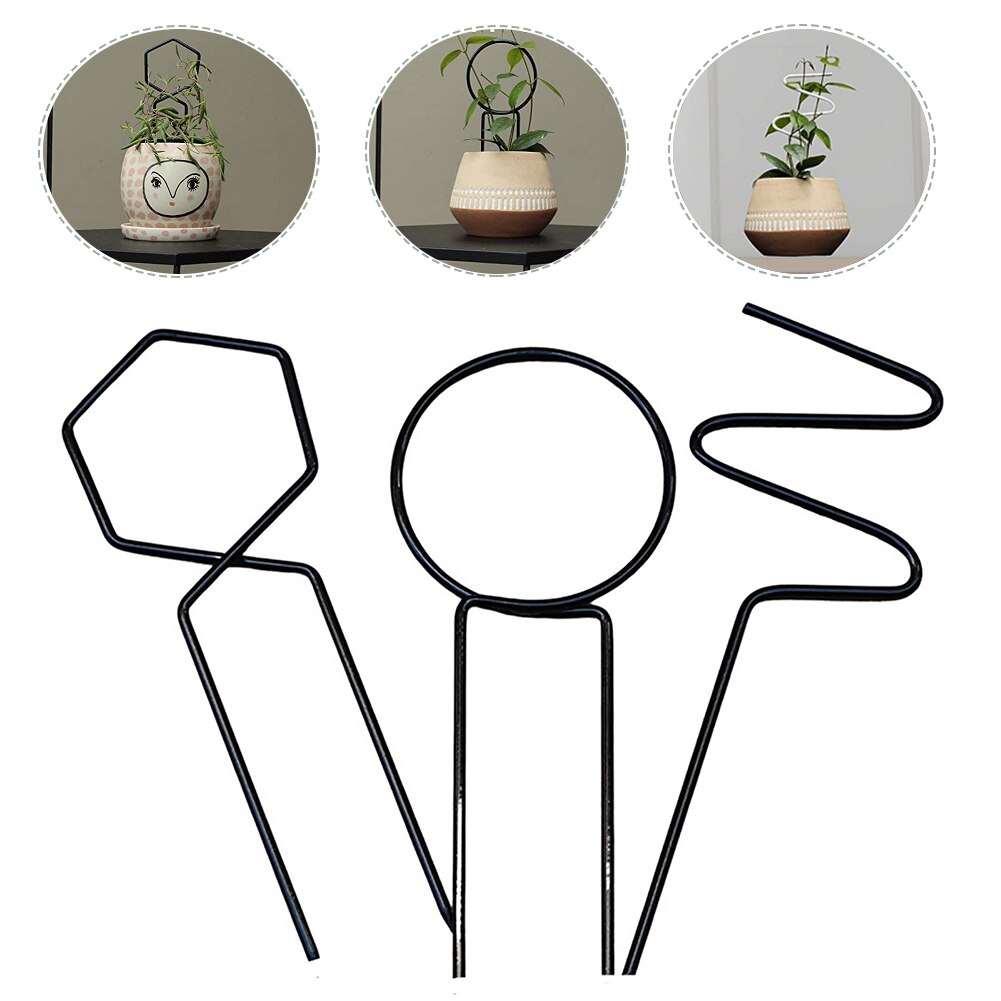 3pcs Display Climbing Support Small Stand Hexagon Vicedeal