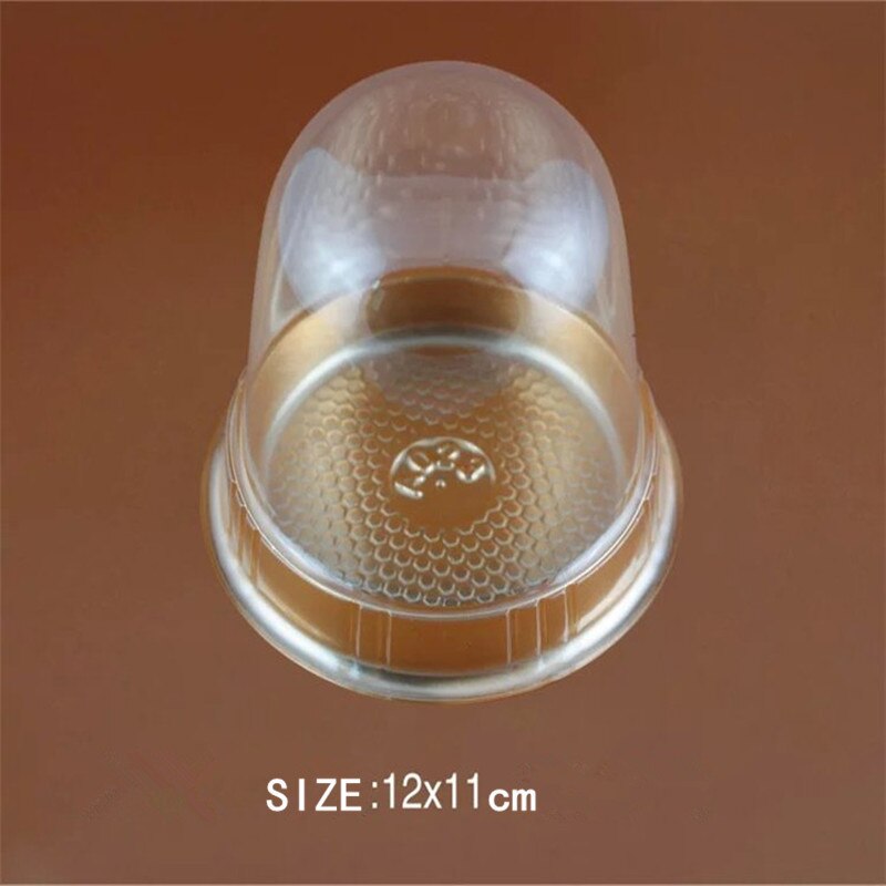 Fondant Pvc Clear Gold Cake Container With Dome Li... – Grandado