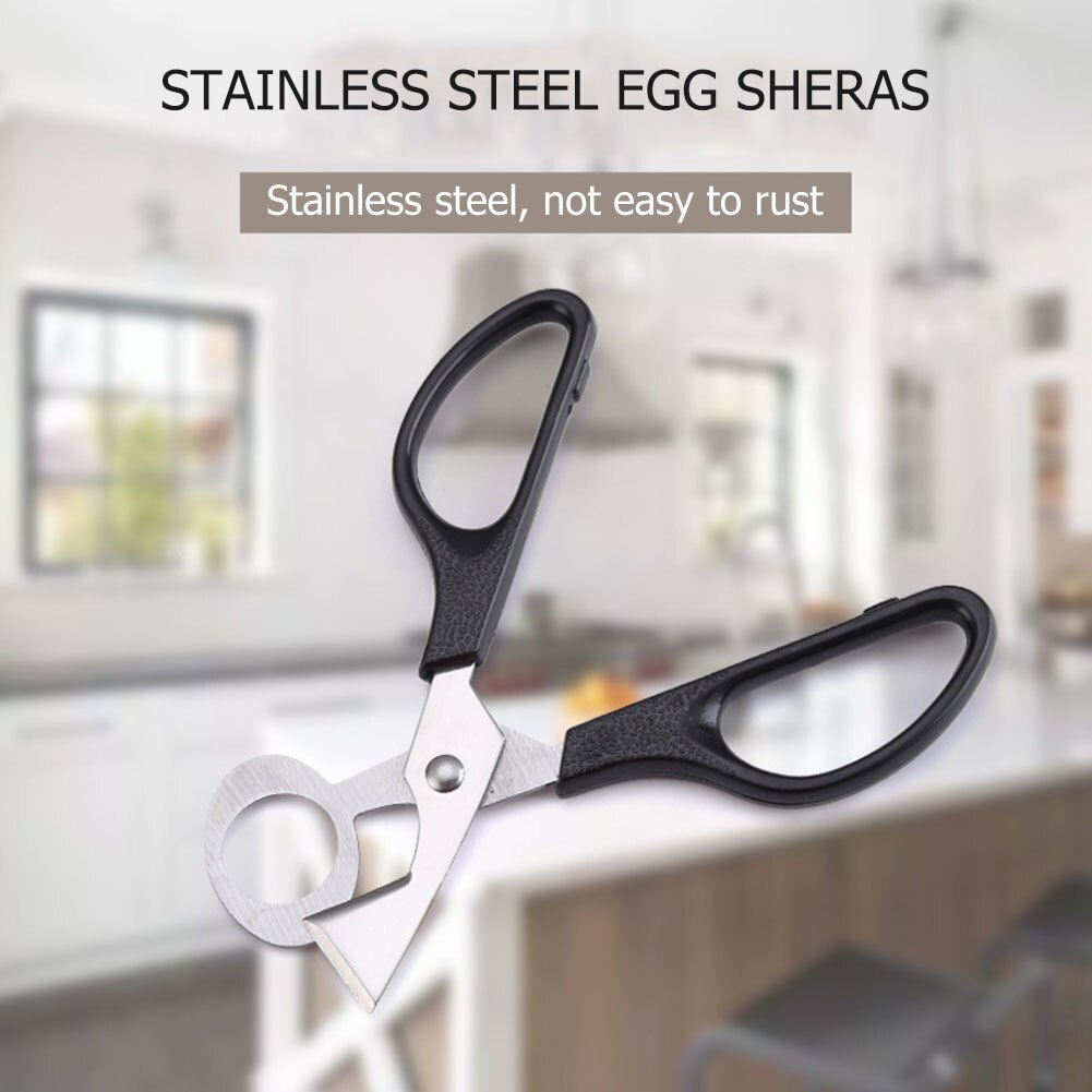 Stainless Steel Cut Whisk Egg Apparatus Pigeon Qua... – Vicedeal