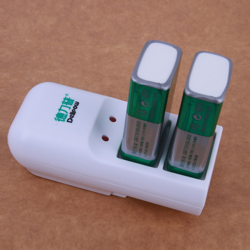 Delipow 9V rechargeable high-capacity 9V battery c... – Grandado