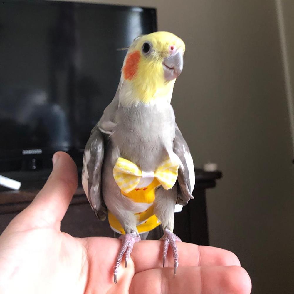 Pet Diaper Bird Clothes Parrot Harness Traction Ro... – Grandado