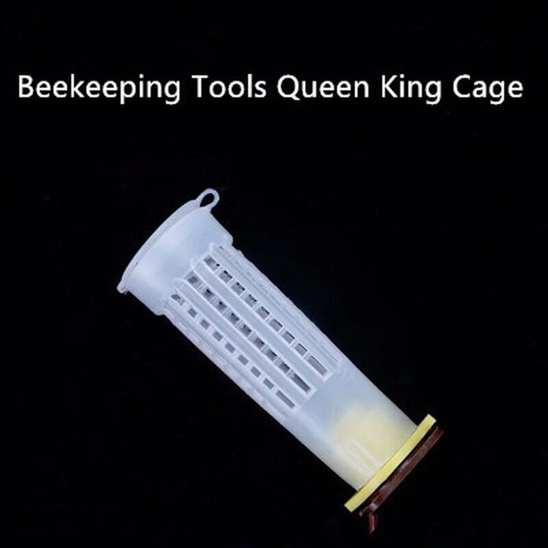 1Pcs Beekeping Tool Rearing Cup Kit Queen Bee Hair... – Grandado