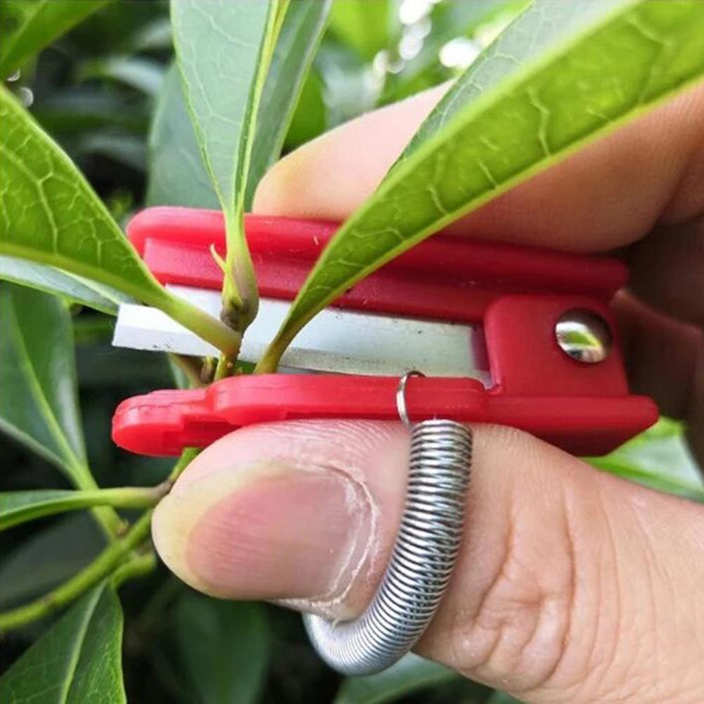 1pc Thumb Cutter Knife Separator Portable Garden V... – Vicedeal