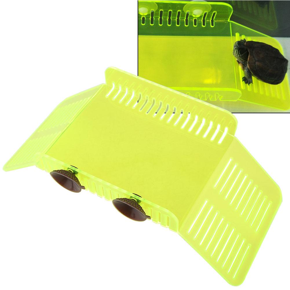 Reptile Tortoise Basking Platform Decoration Torto... – Grandado