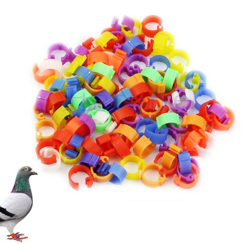 100 Pcs Chicken Hen Pigeons Rings 8mm Bayonet Iden... – Grandado