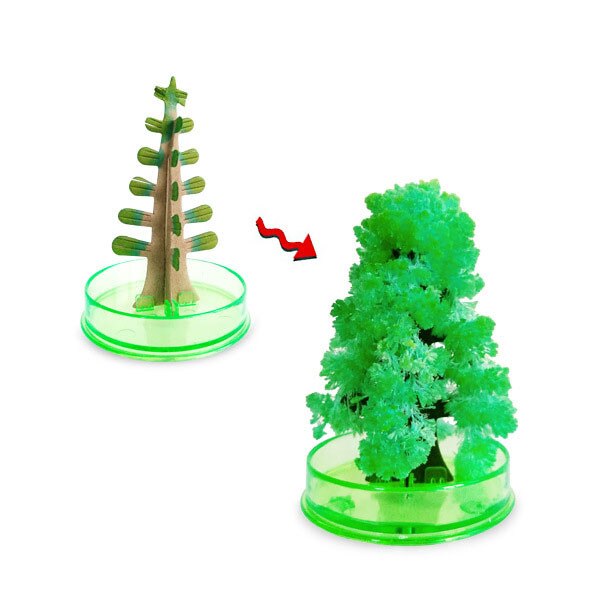 10ml Magic Flowering Christmas Tree Growing Bloomi... – Grandado
