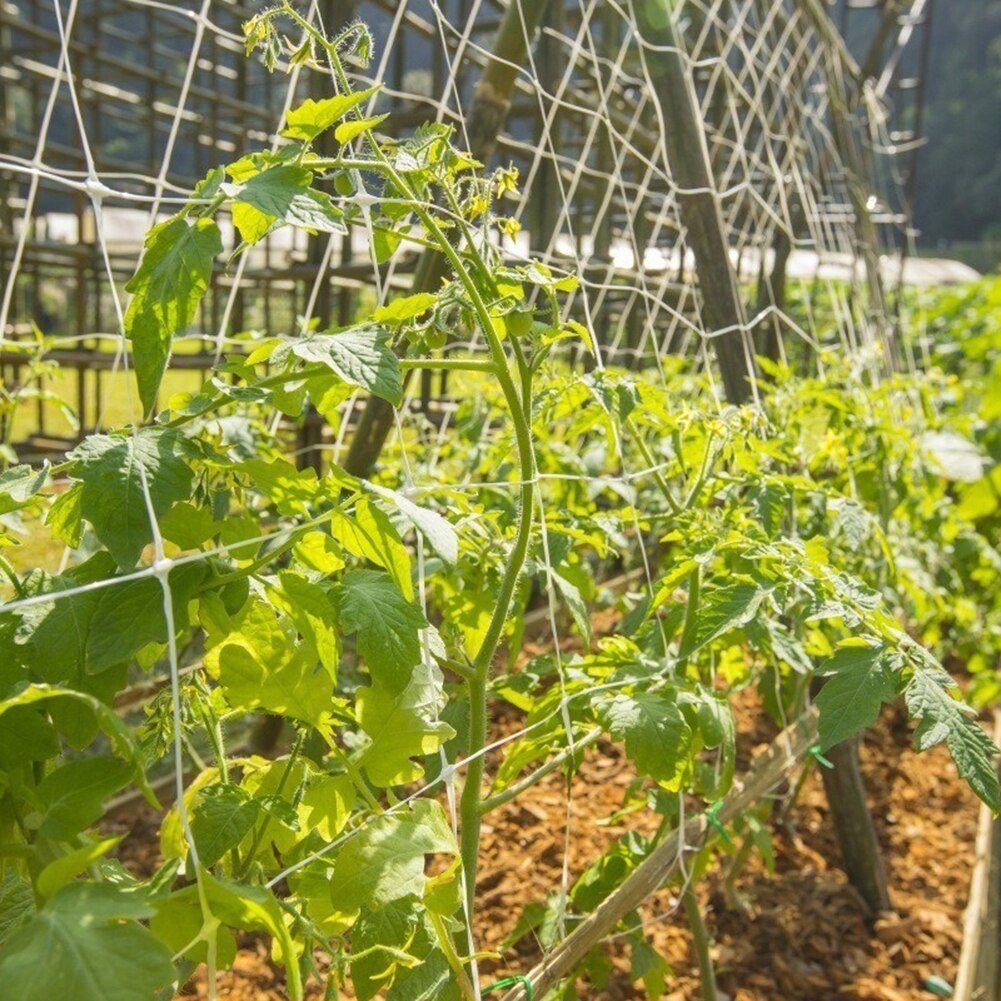 Plant Trellis Netting Plant Tuin Weven Groeien Hou... – Vicedeal
