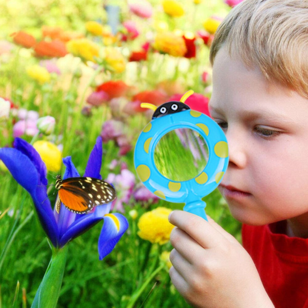 6 Pcs Kids Camping Toys Bug Catcher Insect Viewer ... – Grandado