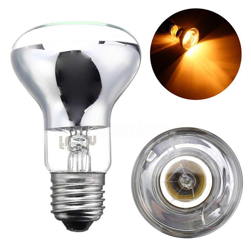 BENE 25/50/75/100W Pet Heating Lamp UVA Day Night ... – Grandado