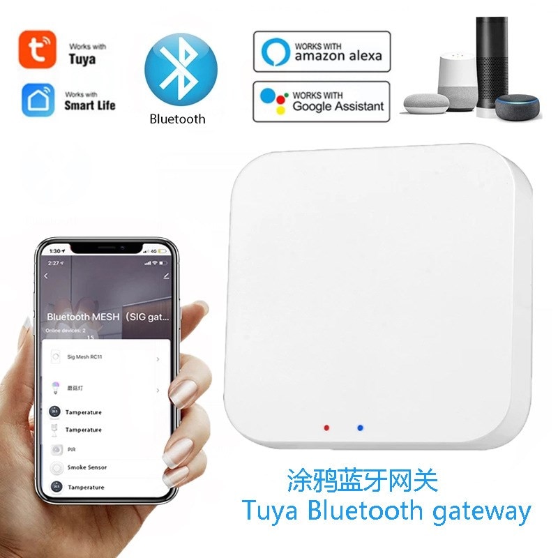 Tuya wifi bluetooth door lock Waterproof keypad Fi... – Vicedeal