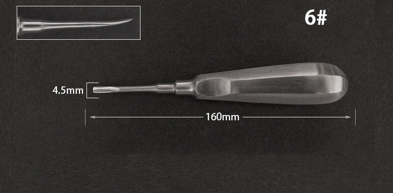 Veterinary dental instruments Animal Pet Tooth ext... – Vicedeal