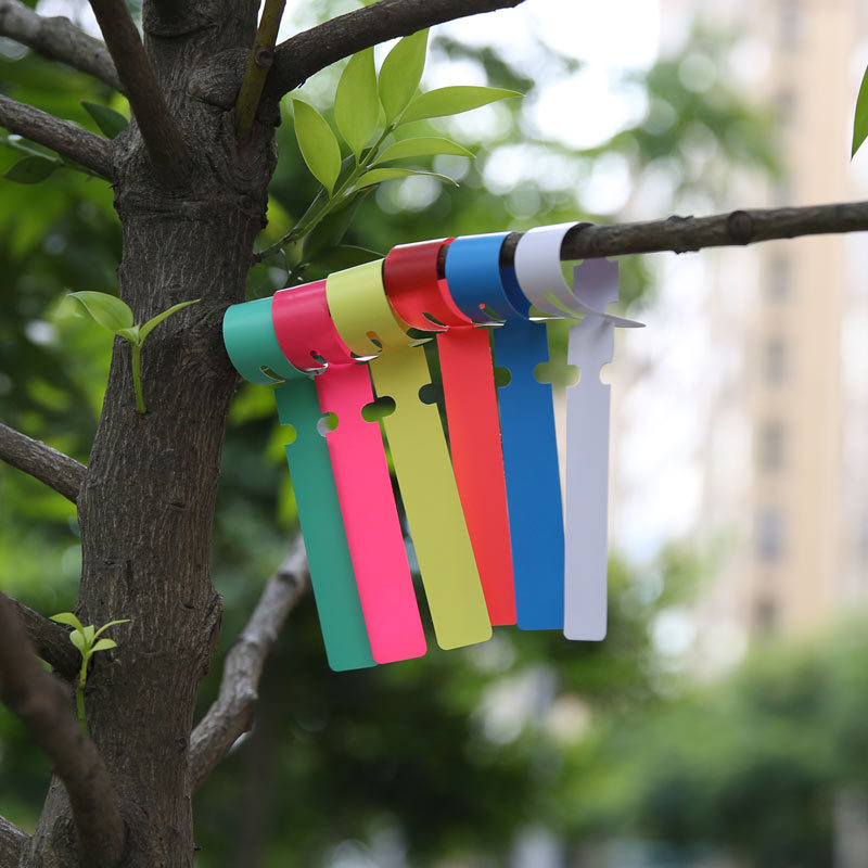20pcs Gardening Garden Hang Tag Label Hanging Tree... – Grandado