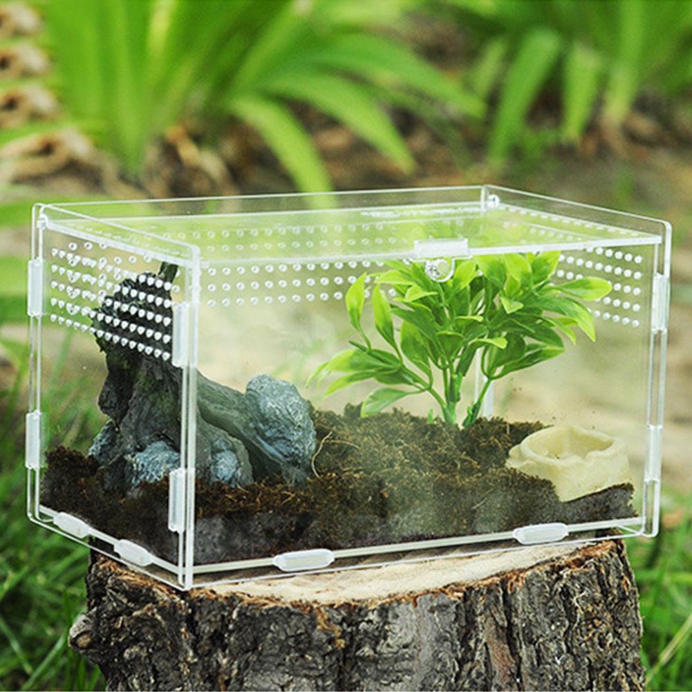 360 Degree Transparent Reptile Breeding Box Acryli... – Vicedeal