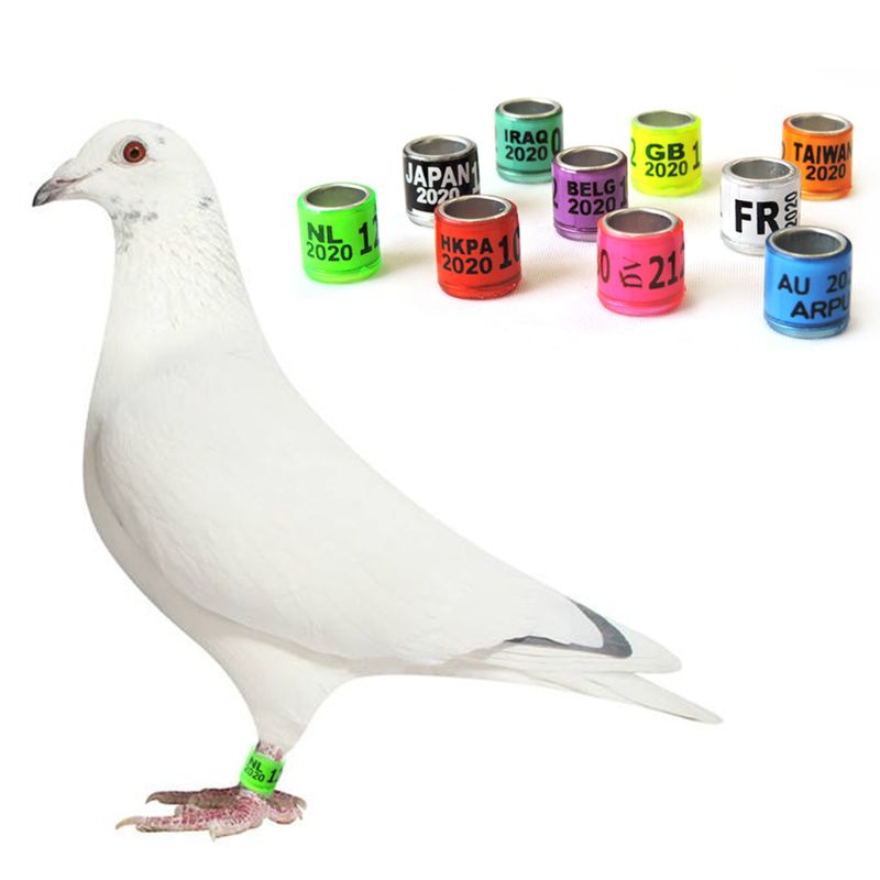 100 Pcs Mix Color Bird Foot Ring Species Identify ... – Grandado