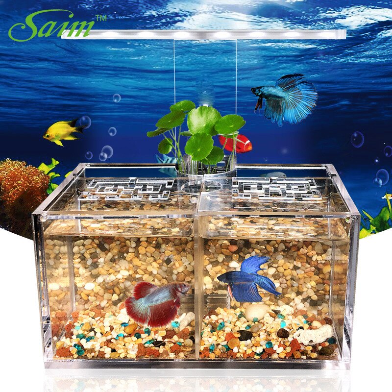 Saim USB Desktop Mini Fish Tank Aquarium LED Lamp ... – Vicedeal