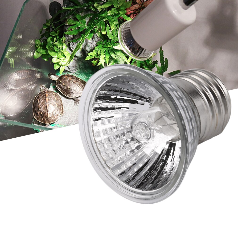 UVB 75W Compact Bulb Full Spectrum Terrarium Lamp ... – Grandado