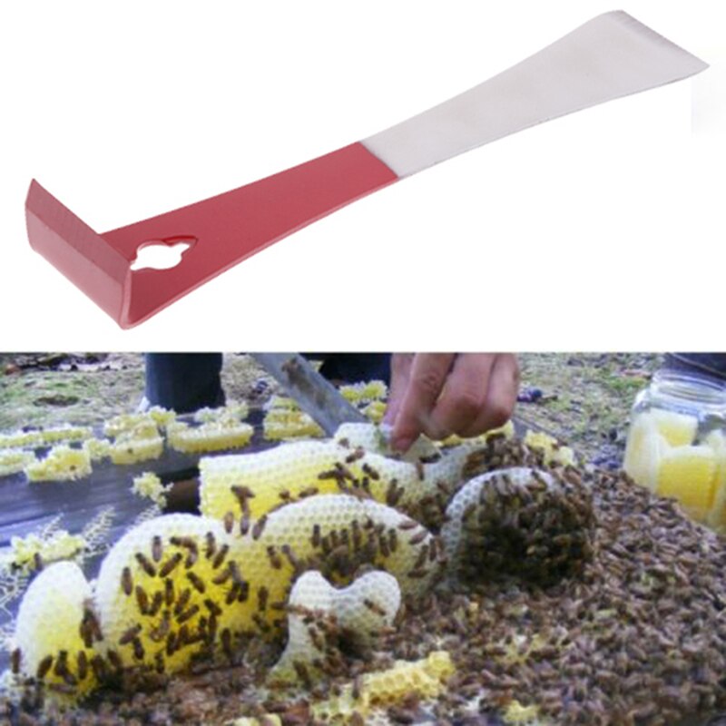 Stainless Steel Lifter and Scraper Beekeeping Tool... – Vicedeal